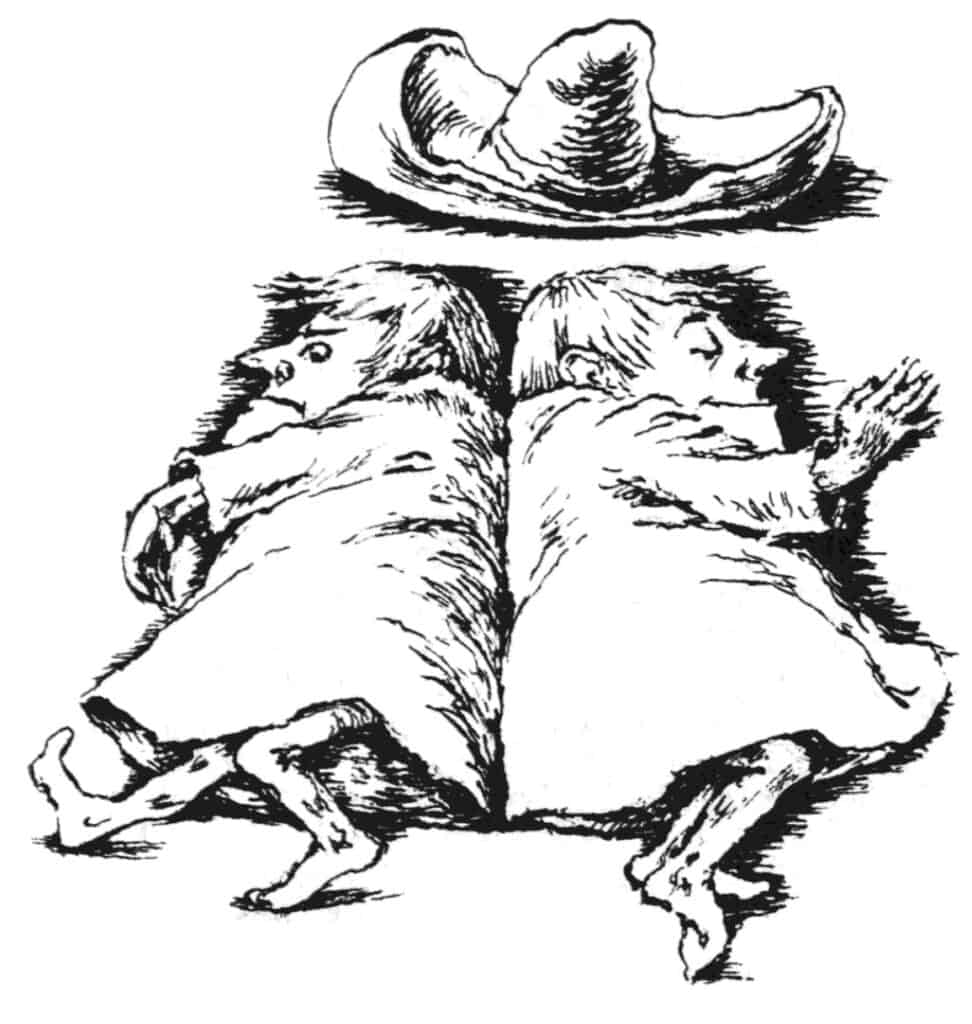 One Part Doppelgänger: Transformations, Anne Sexton, Barbara Swan ...