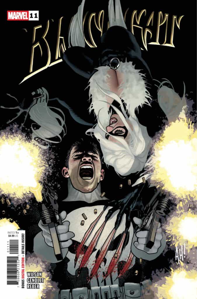 The Untouchable Thief Clashes With The Killer Of Killers in Black Cat ...